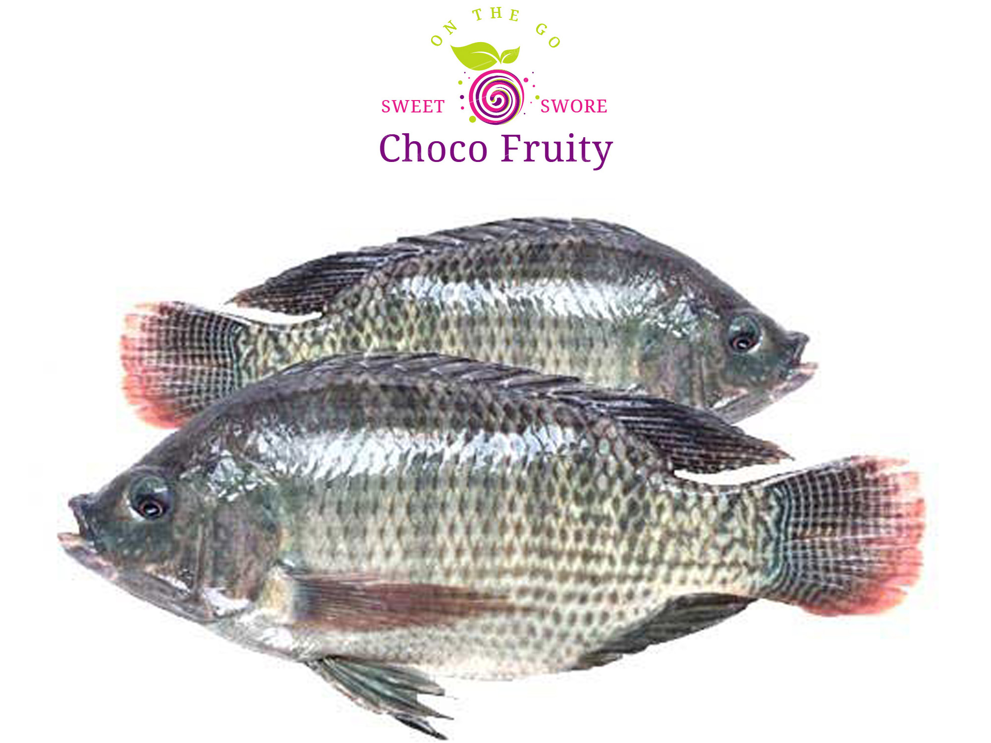 Fresh Tilapia - 1kg | Lazada PH