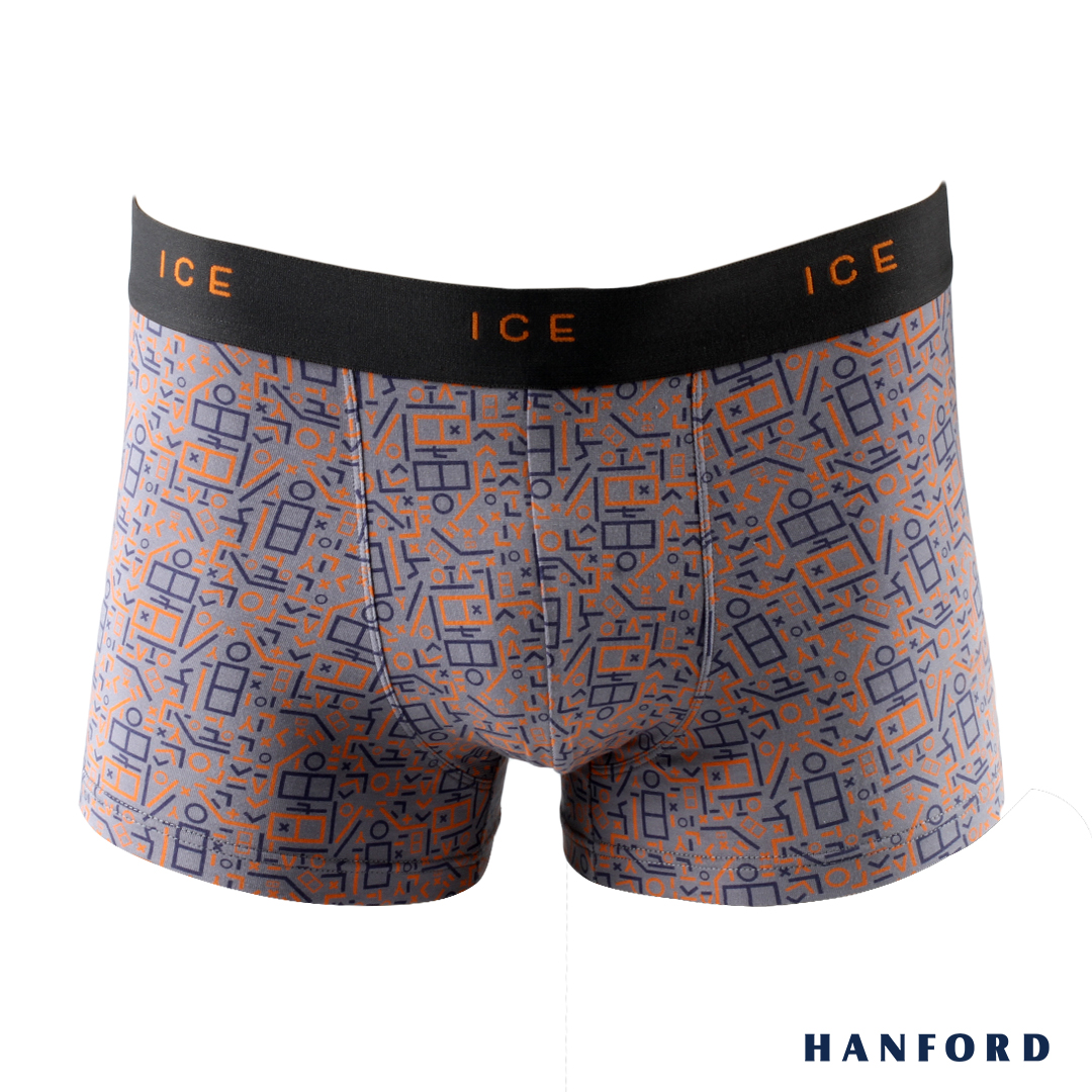 Hanford iCE Men Viscose w/ Spandex Boxer Briefs Mecha Print - Puritan ...