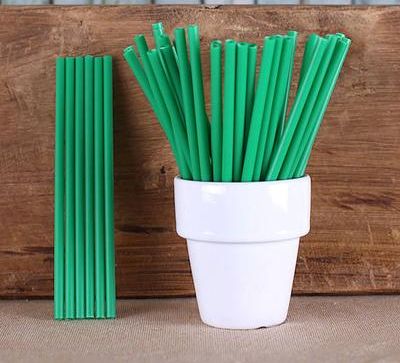 100 pcs Green Lollipop Sticks (5.5 inches long) | Lazada PH