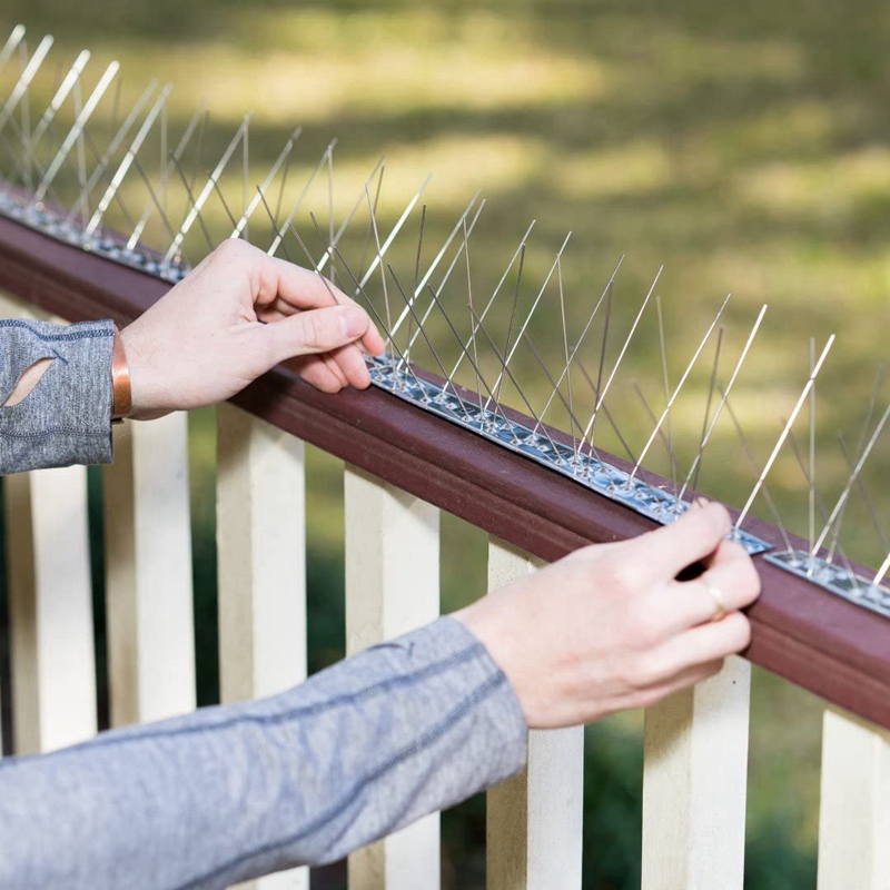 20 Pcs/Box Bird Spikes, Stainless Steel Bird Deterrent Spikes Cover for ...