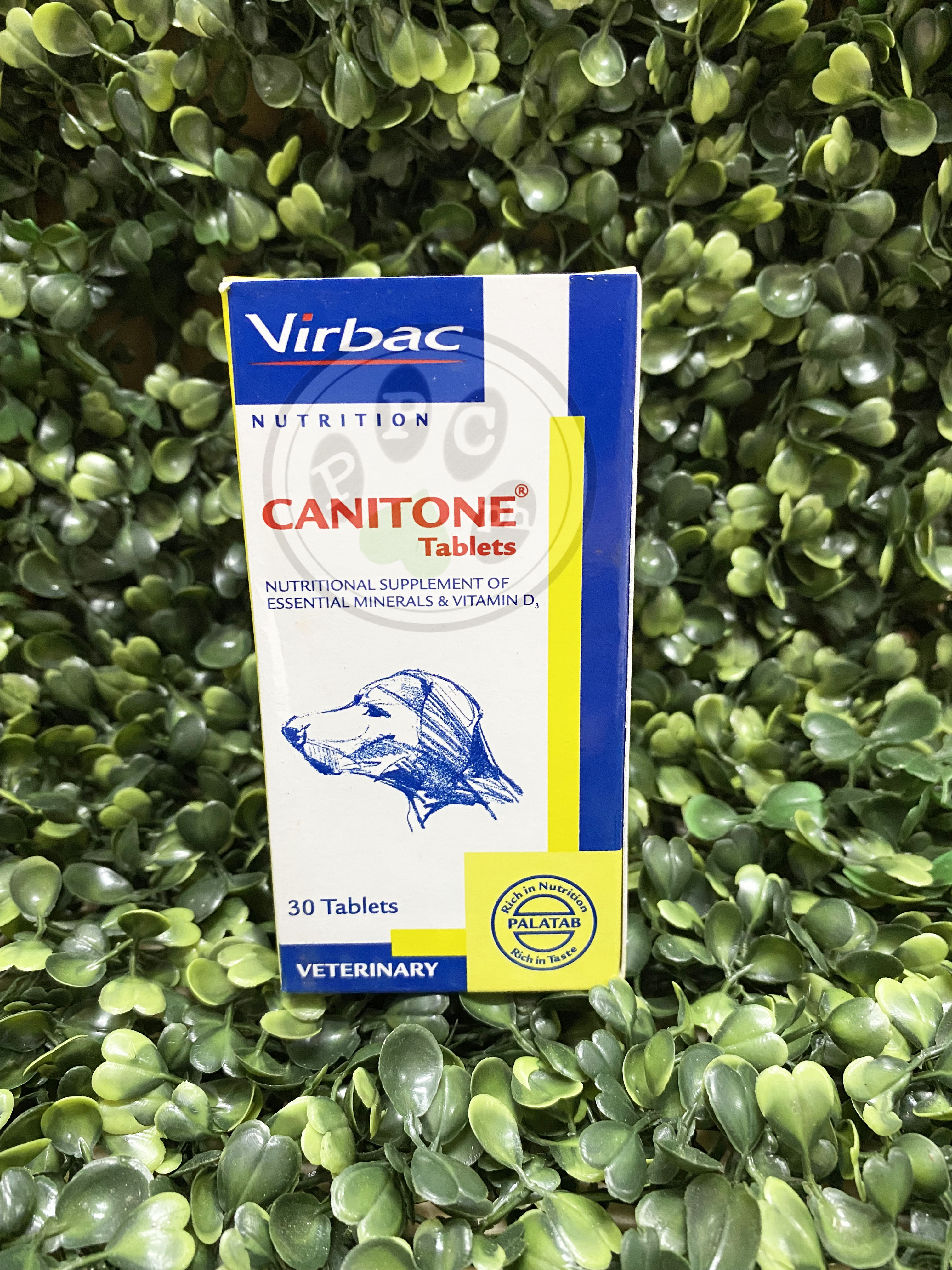 Canitone Tab Calcium Supplement for Dogs 30 tabs | Lazada PH