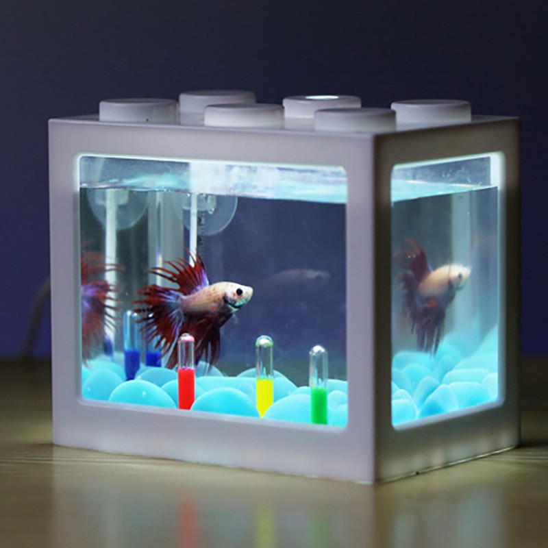 Seanfly【COD】Mini Aquarium Fish Box With USB + LEDLight.Mini Aquarium ...