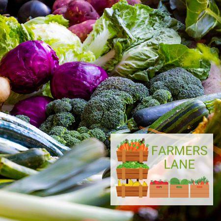 Farmers Lane - Fresh Eggplant - Talong - Long - Native - Locally ...