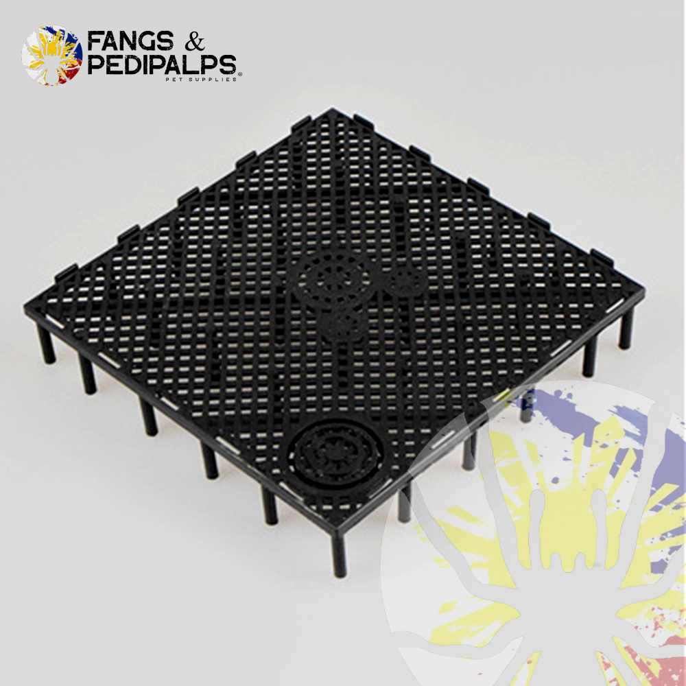 Aquarium Bottom Filtration Grid Plate | Lazada PH