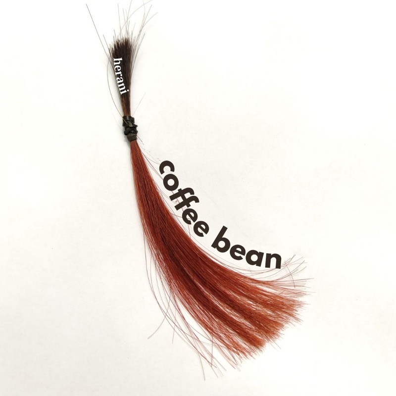 Herani Hair Color Conditioner | Lazada PH