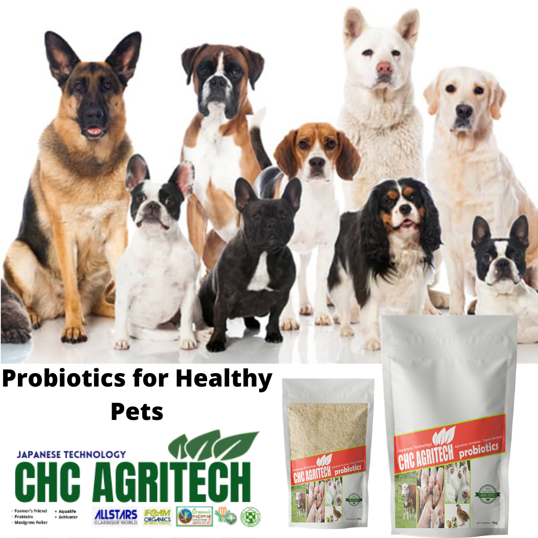 [CHC Agritech Phils.] 1Kg Probiotics Japan Technology Probiotic 7 ...
