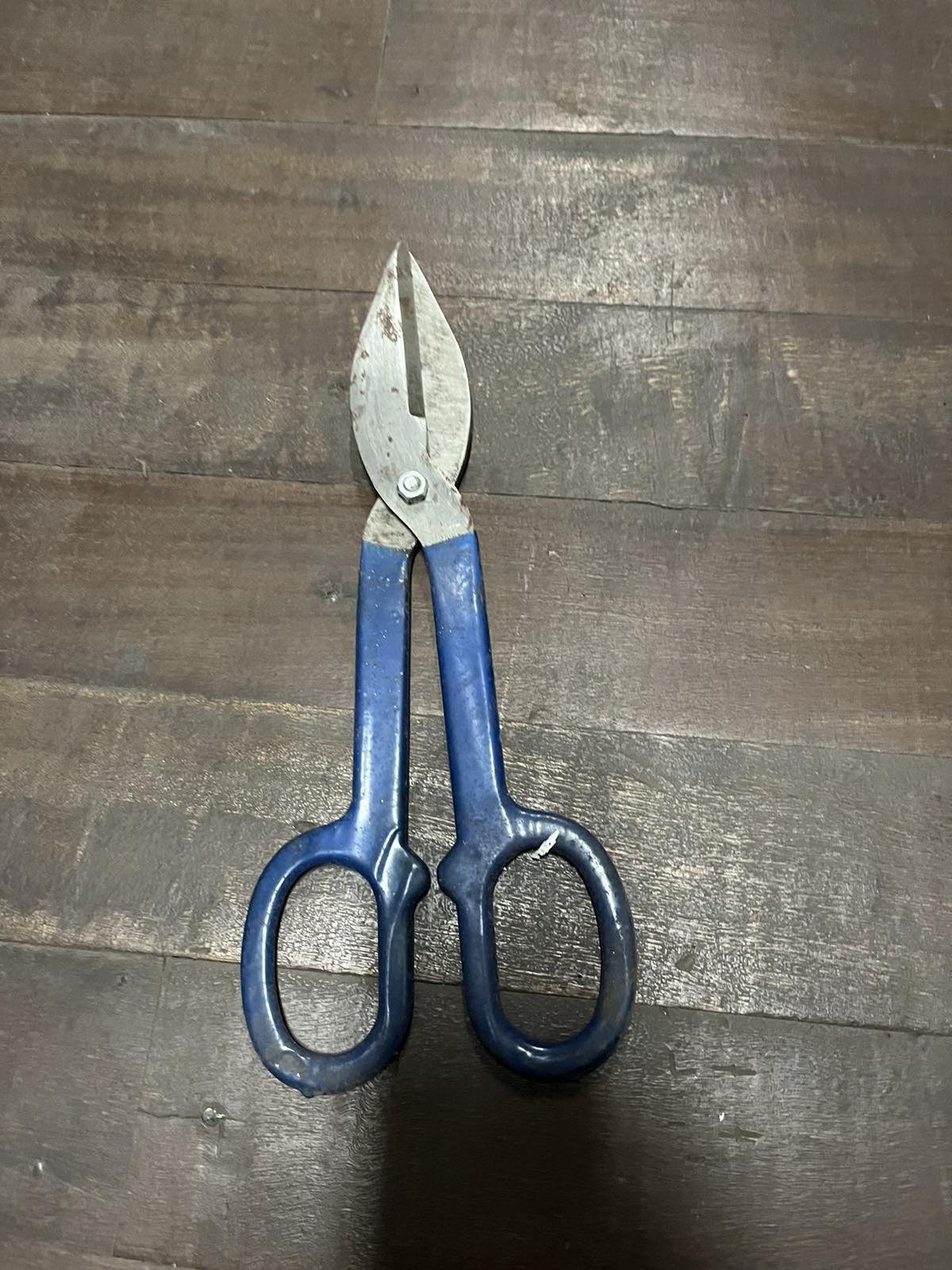 tinmen snip 12" with rust kalawang | Lazada PH