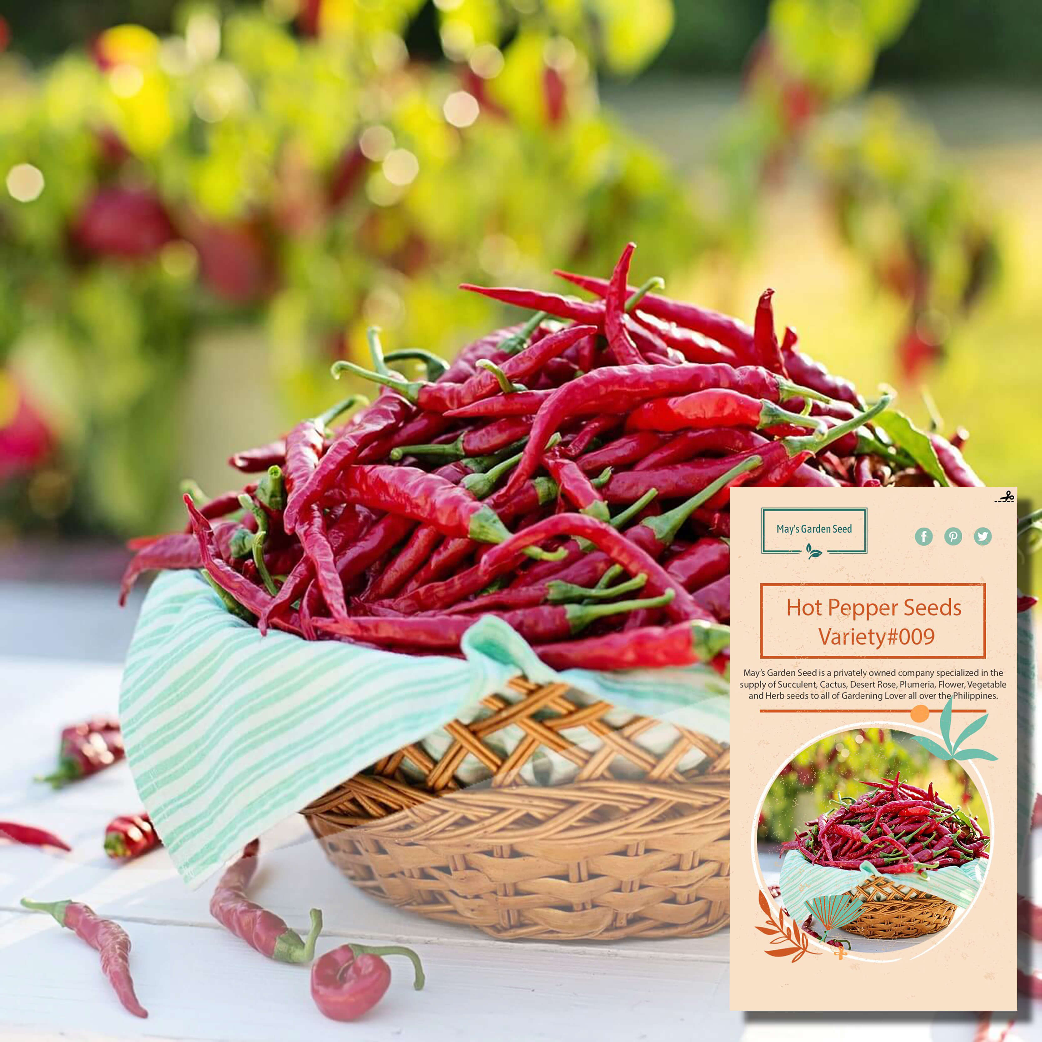 Hot Pepper Sili Seeds, Vegetable Seeds, Variety#009 | Lazada PH