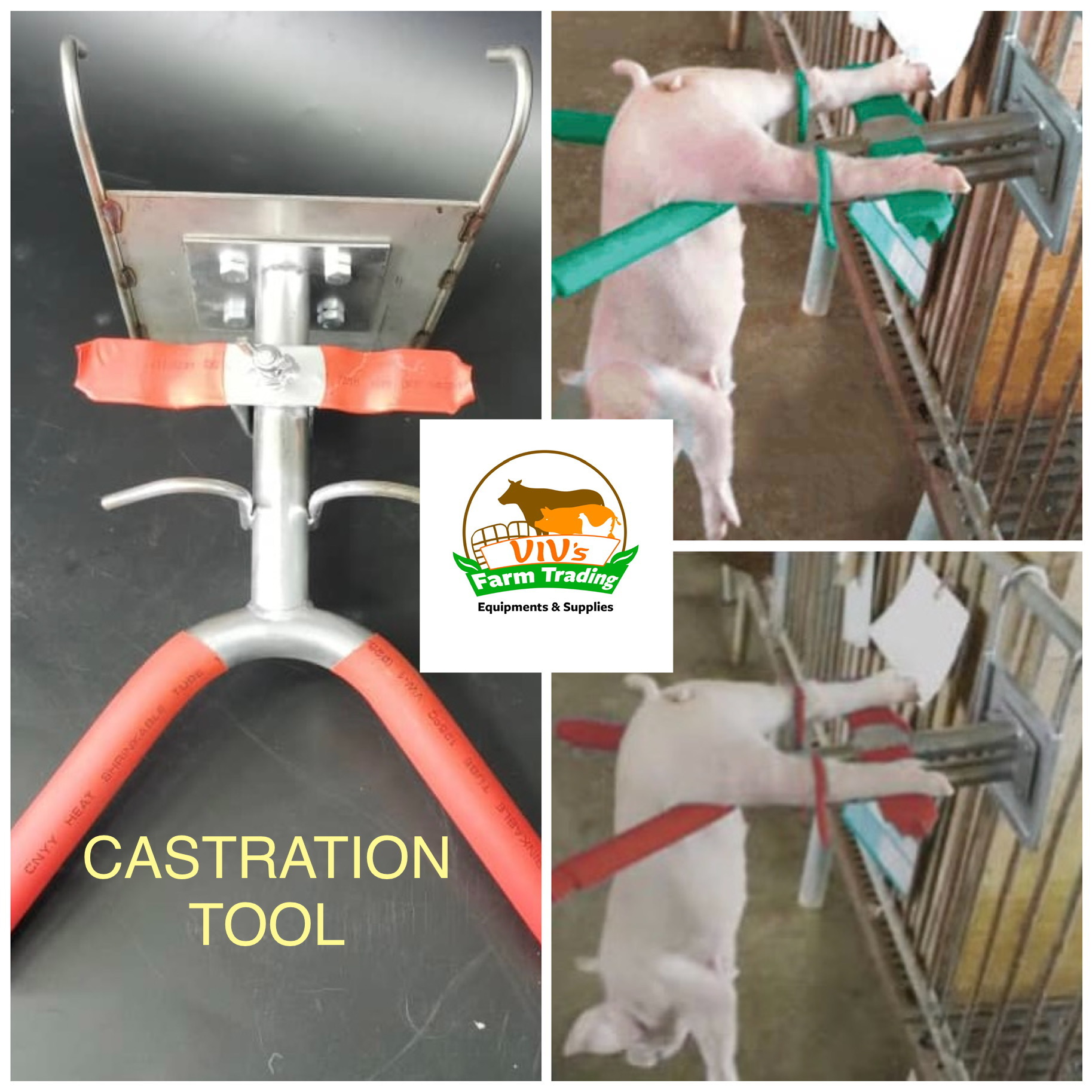 Piglet Castration Holder - FREE Shipping | Lazada PH