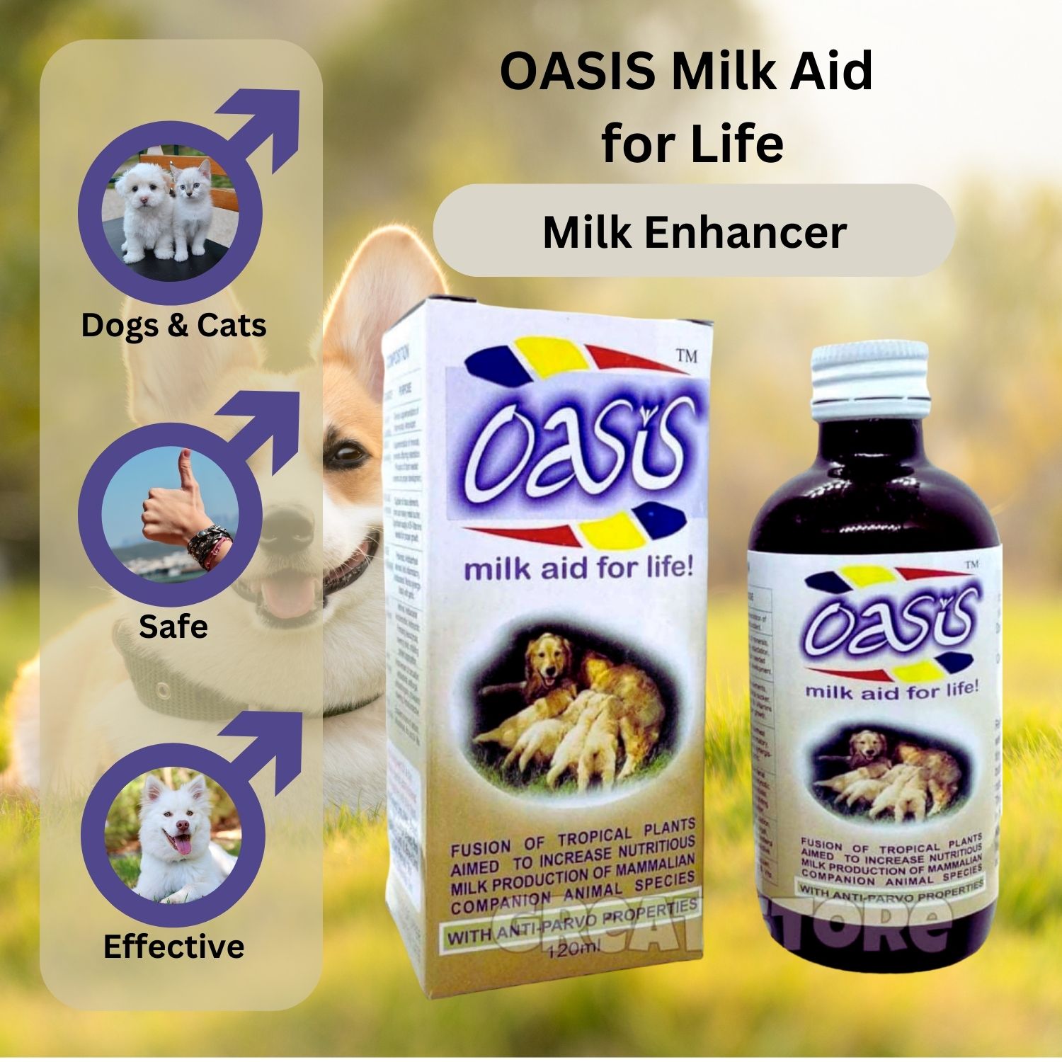 OASIS Milk Enhancer 120ml for Dogs and Cats with AntiParvo Property ...