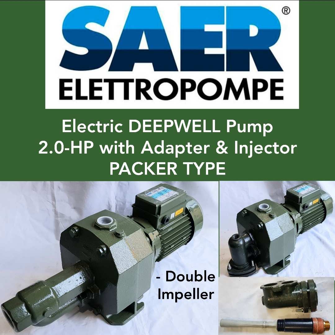 SAER Original Electric DEEPWELL Water Pump 2.0-HP Packer Type MADE IN ...