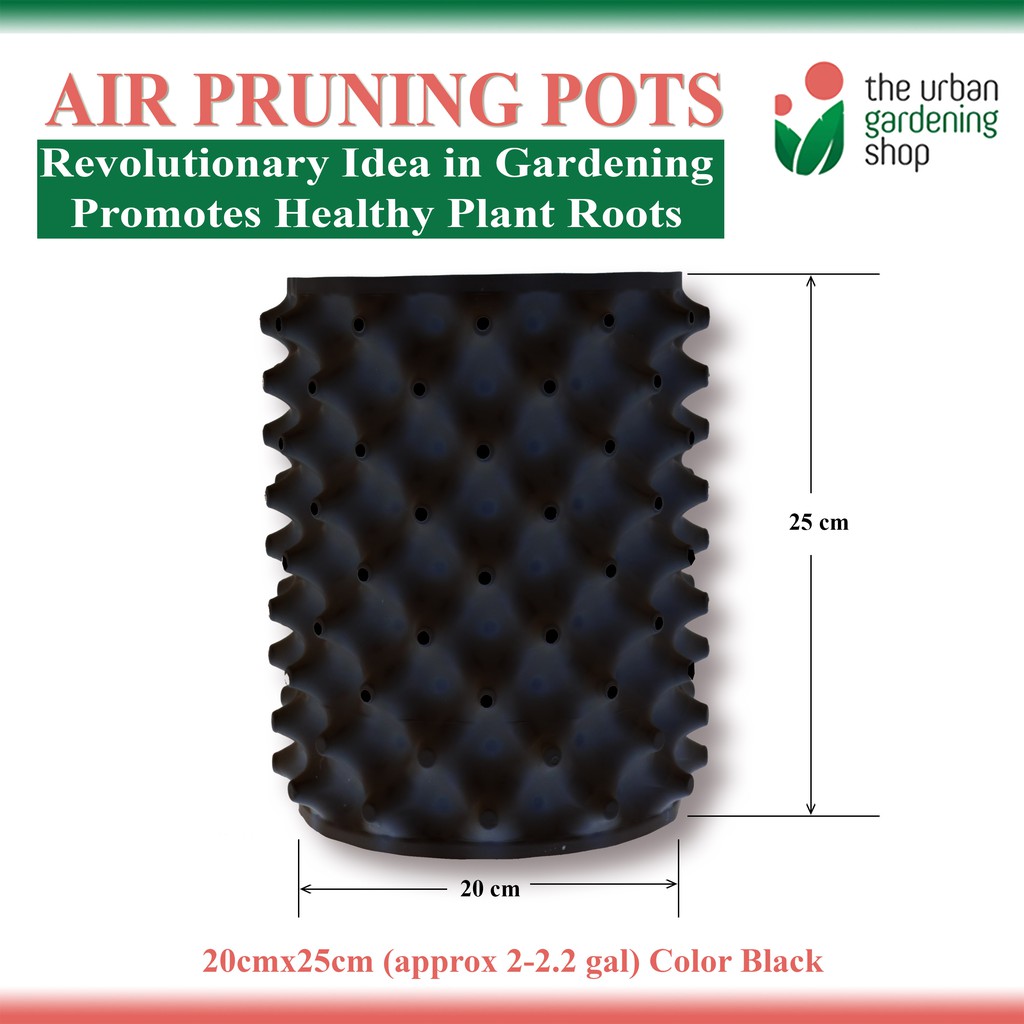 Air Pruning Pots (3 Sets) - A Revolutionary Idea in Container Gardening ...