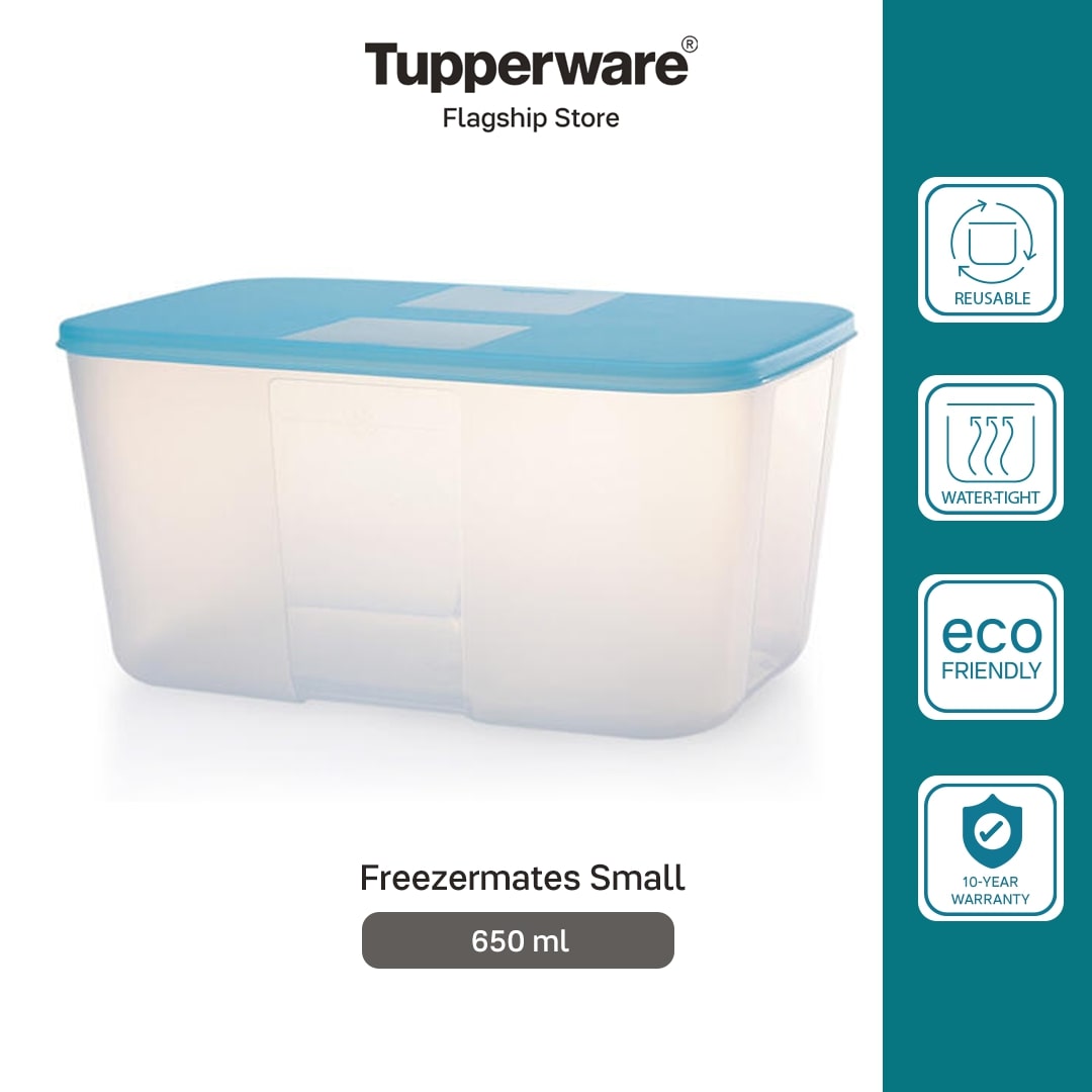 Tupperware Freezermates - Small Solo 650ml | Lazada PH