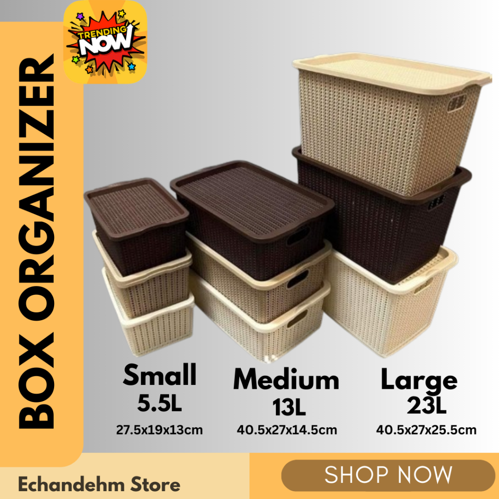 Premium Rattan Box Stylish Storage Organizer with Cover | Lazada PH