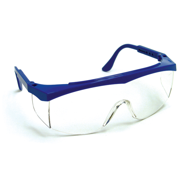 Clear Safety Glasses with Blue frame PPE Eyewear Eye Protection Glass ...