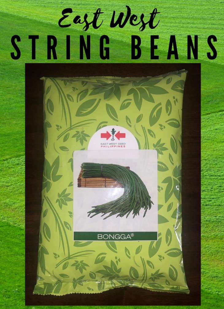 East West EASTWEST 1Kilo STRING BEANS Seeds - Bongga SITAW | Lazada PH
