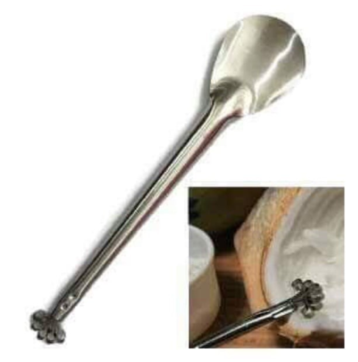 Coconut, Melon Scraper with Spoon Grater Scraping Coconut (Pangkayod ng ...