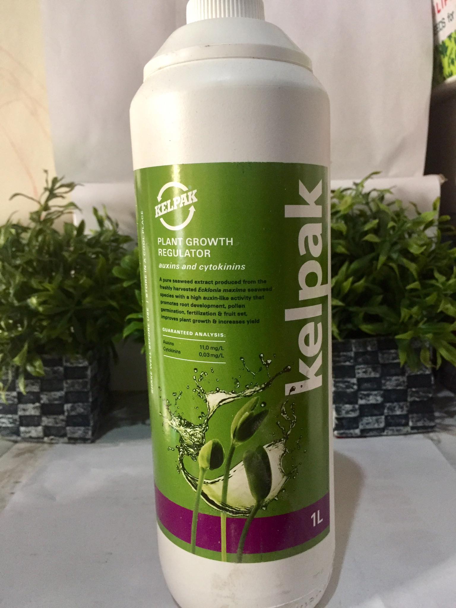 Kelpak Plant Growth Regulator 1L | Lazada PH