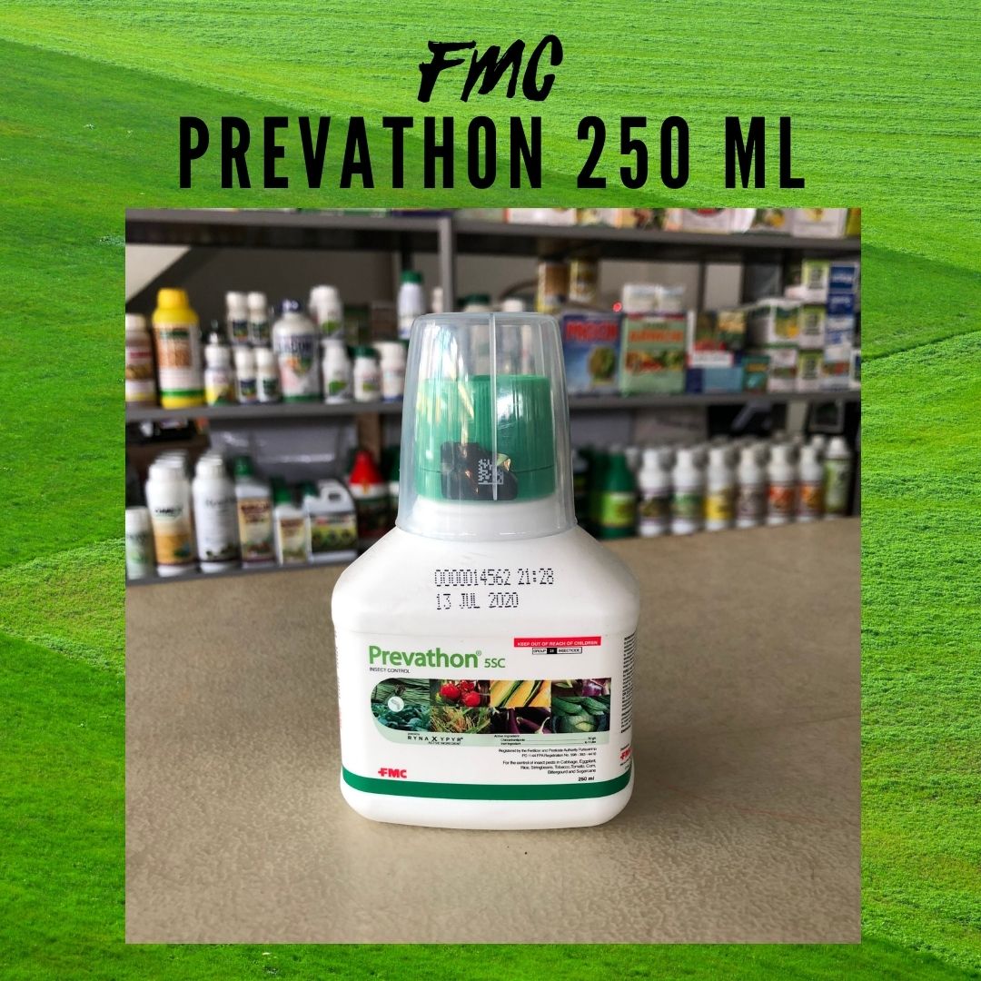 FMC PREVATHON 500ml and 250ml INSECT CONTROL | Lazada PH