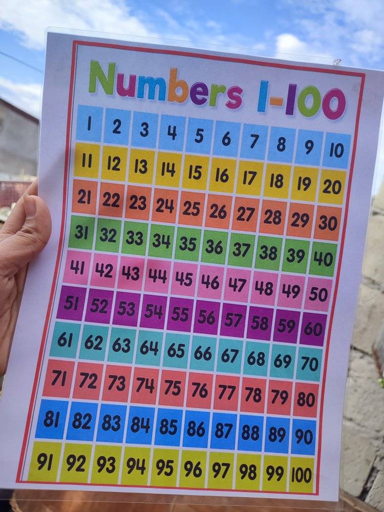 Learning Laminated Wall Chart 5-10 pcs | Lazada PH