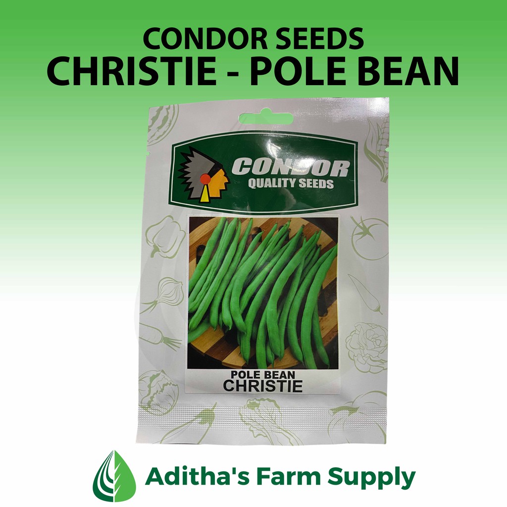 (It's a seed, not a plant!)Condor Seeds: Christie - Pole Bean | Lazada PH