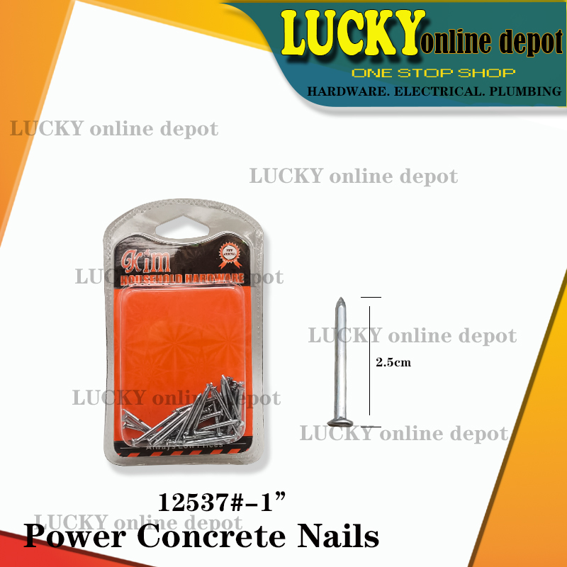 MULTI-PURPOSE CONCRETE CEMENT NAIL | Lazada PH