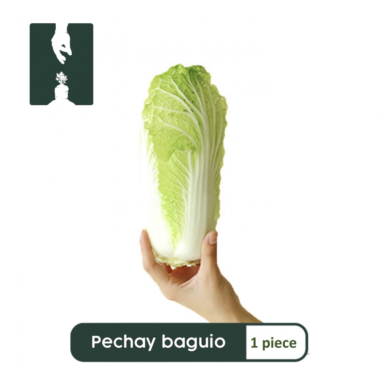 1PC - PECHAY BAGUIO — Fruits, Vegetables, Meat, Seafood Online Home ...