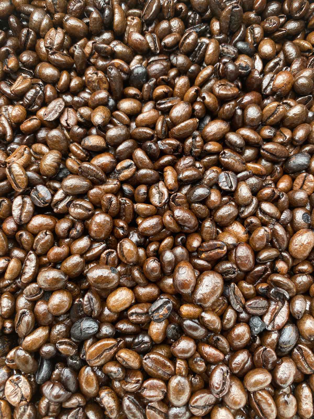 Barako Premium EXCELSA (500g) Beanhi Coffee House | Lazada PH