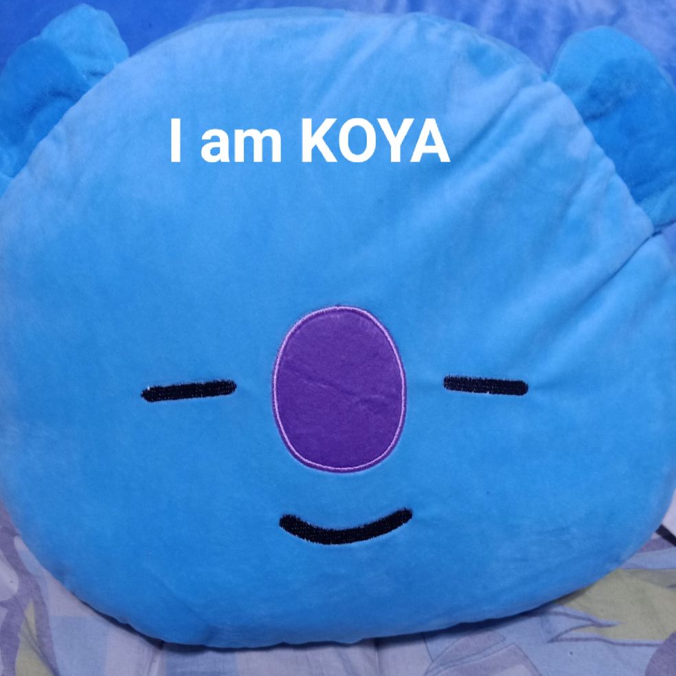 KOYA - BT21 CHARACTER PILLOW | Lazada PH
