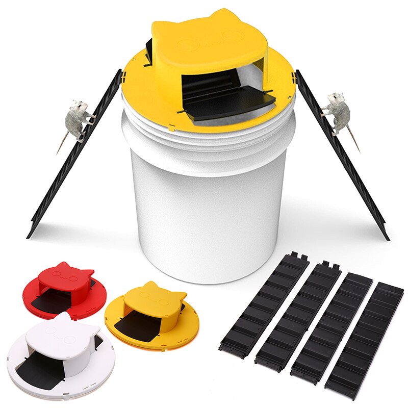 Mouse Bucket Trap cage perfect trap for big rats very suitable for ...
