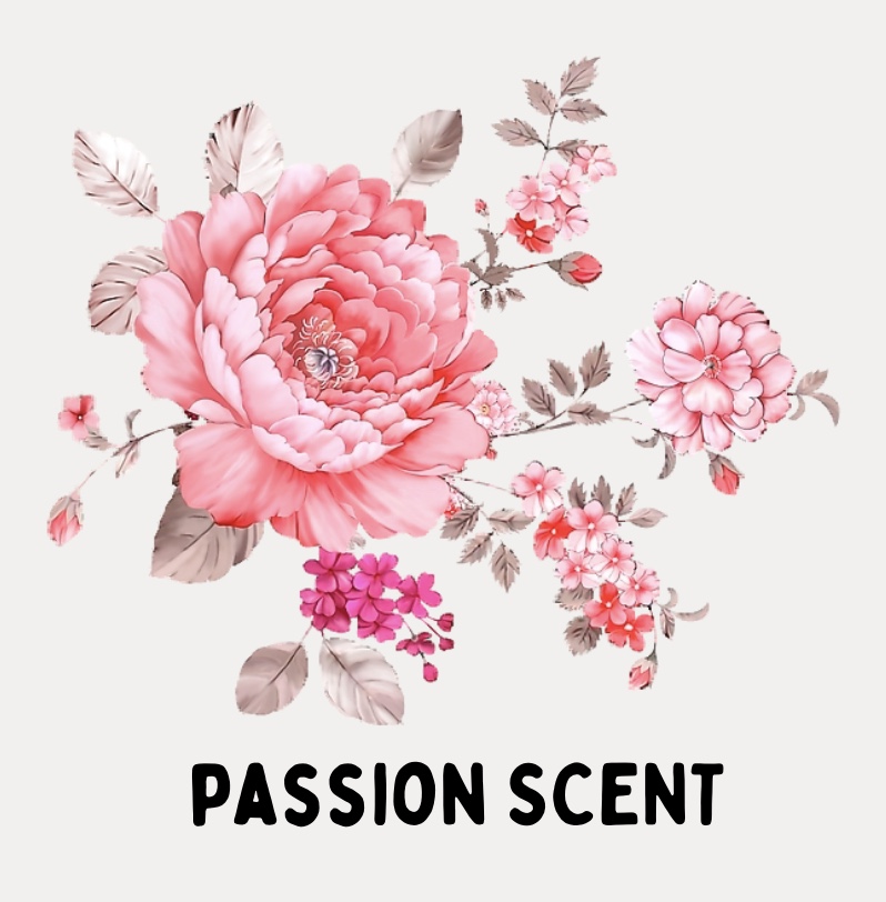 PREMIUM FABCON KIT 10 LITERS YIELD PREMIER WASH | Lazada PH