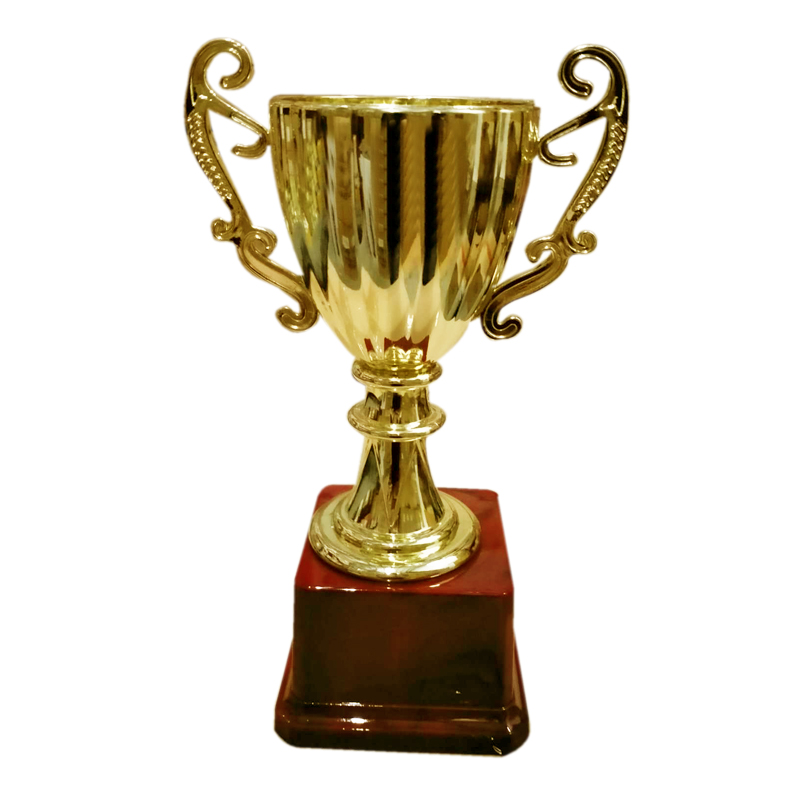 Trophy Awards | Lazada PH