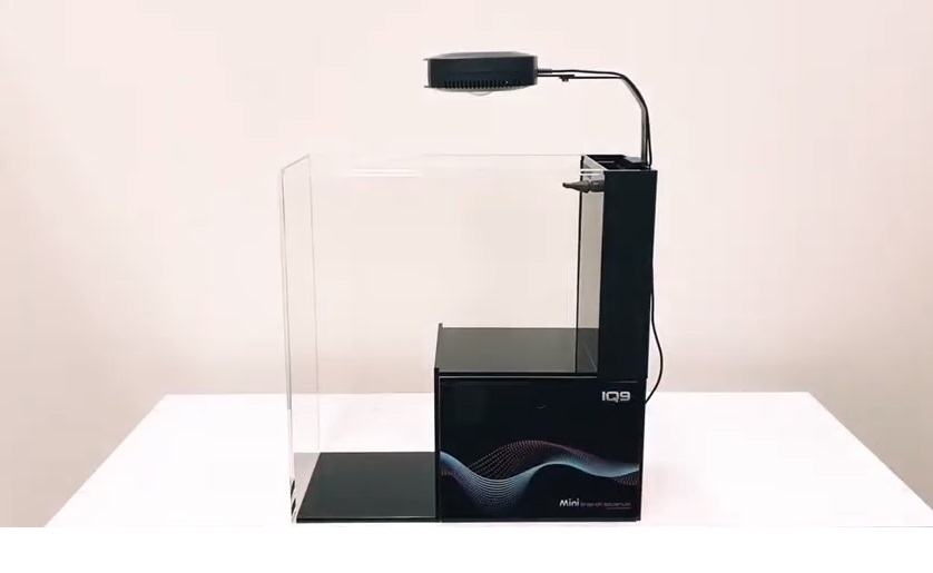 Dymax IQ9 Mini Drop Off Acrylic Aquarium Freshwater | Lazada PH