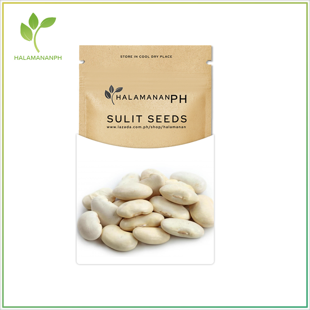BEANS - PATANI / LIMA BEANS SULIT VEGETABLE SEED PACK [Halamanan PH ...