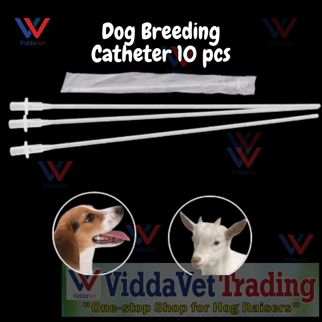 Dog Breeding Catheter Disposable Flexible Disposable Flexible Easy to ...