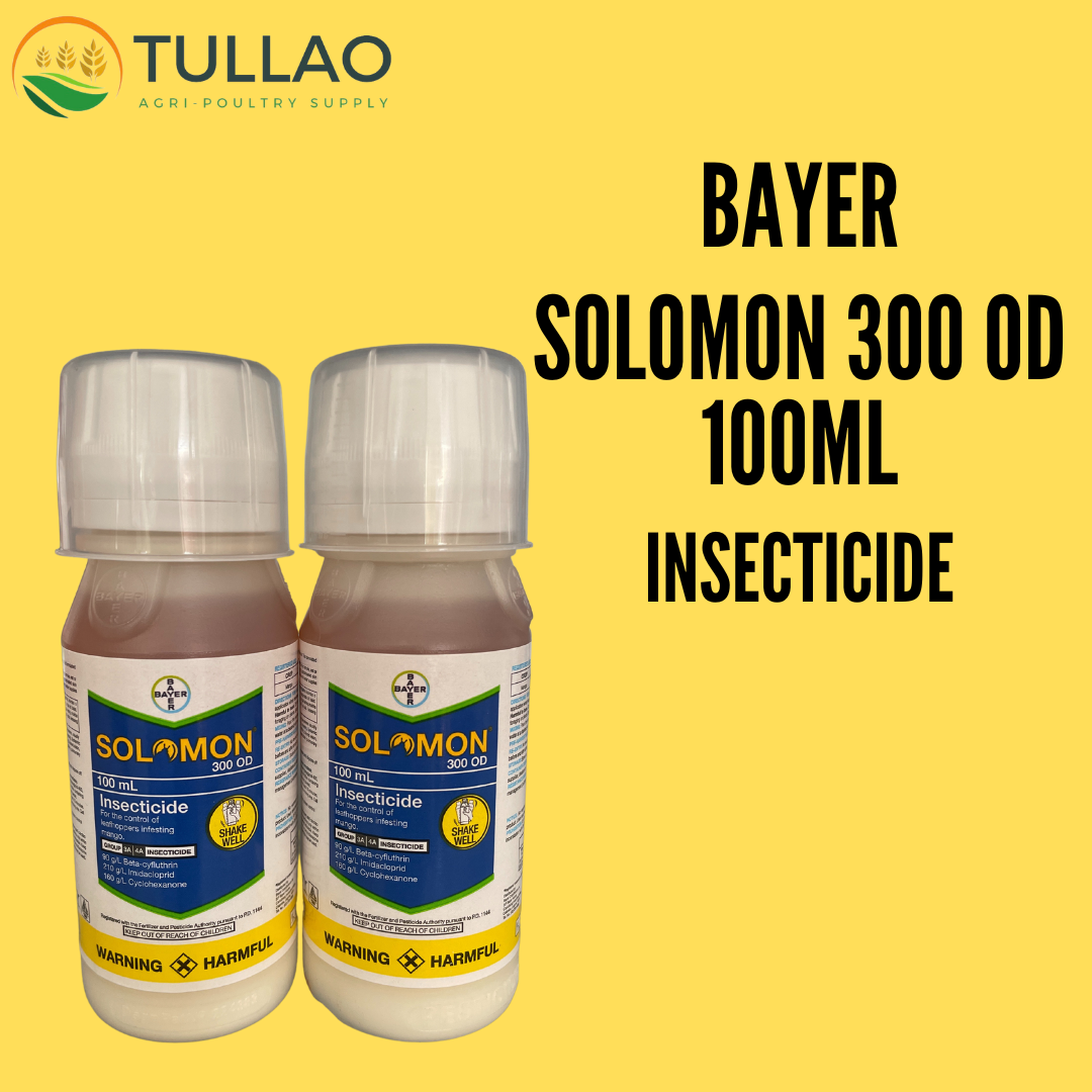 Bayer SOLOMON 300 OD 100ML Insecticide | Lazada PH