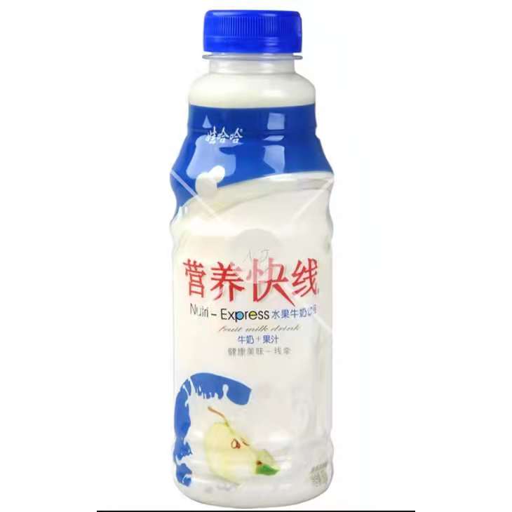 [ JUANDA ] Wahaha Delicious Nutri Express Yogurt Milk Drink 500ml ...