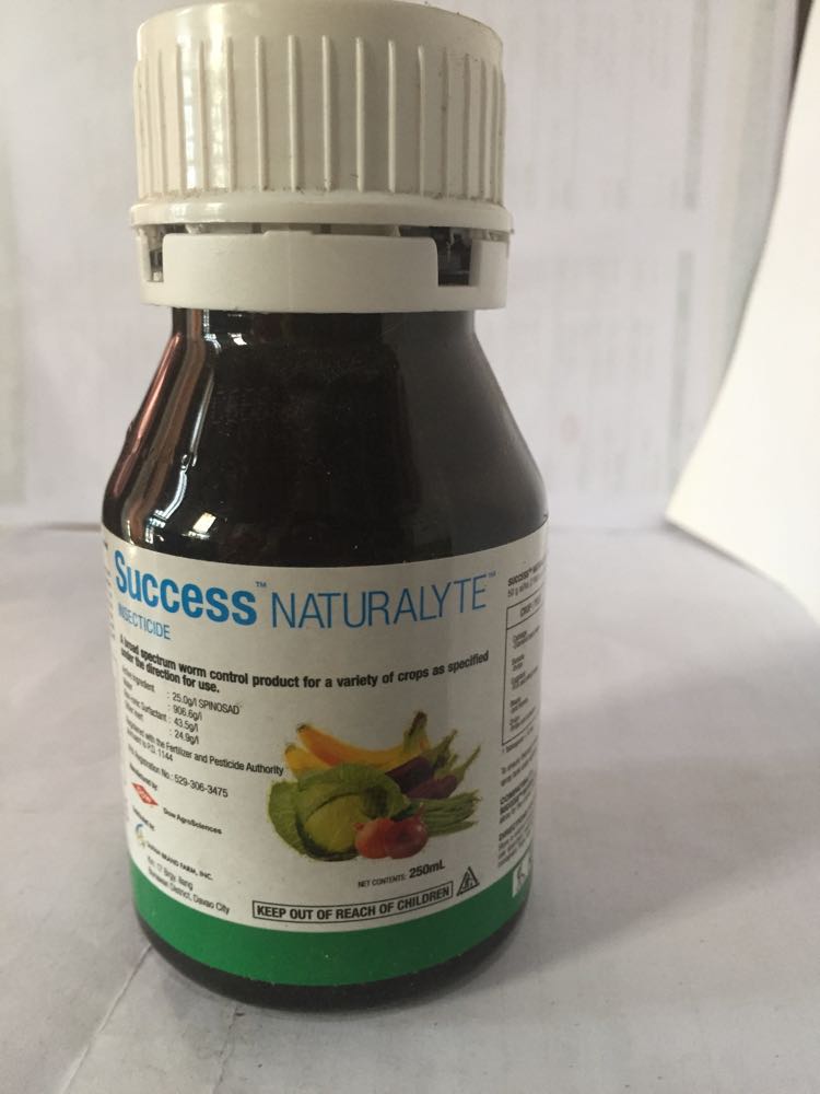 Success Naturalyte Insecticide 250ml | Lazada PH