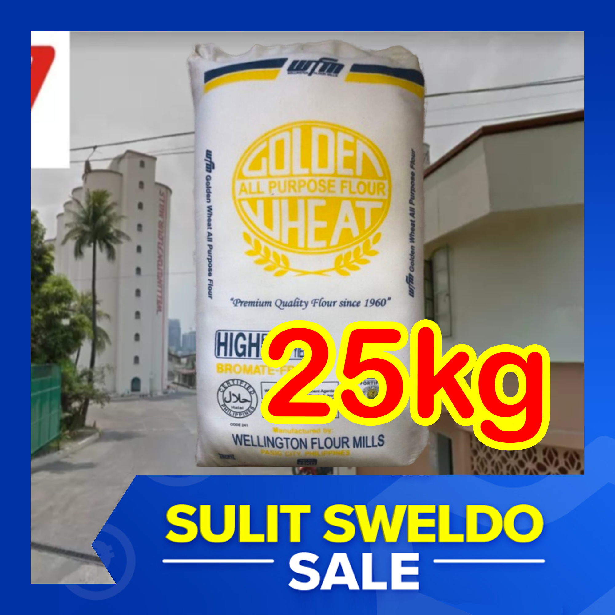 25kg Golden Wheat ALL PURPOSE FLOUR for Baking Bread Cake PFMC Sack ...