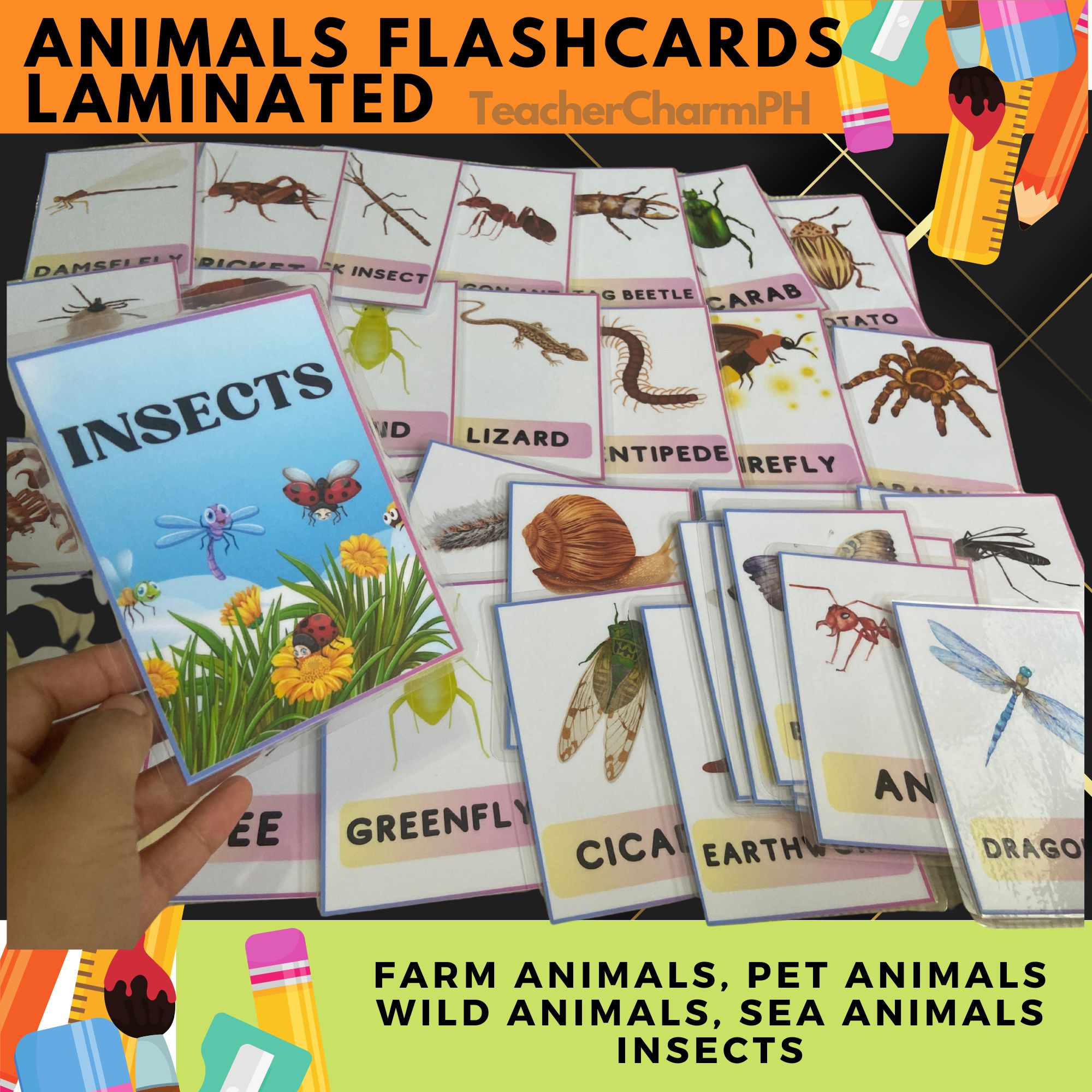 ANIMALS FLASHCARDS pet, farm, sea, wild animals & insects Laminated ...