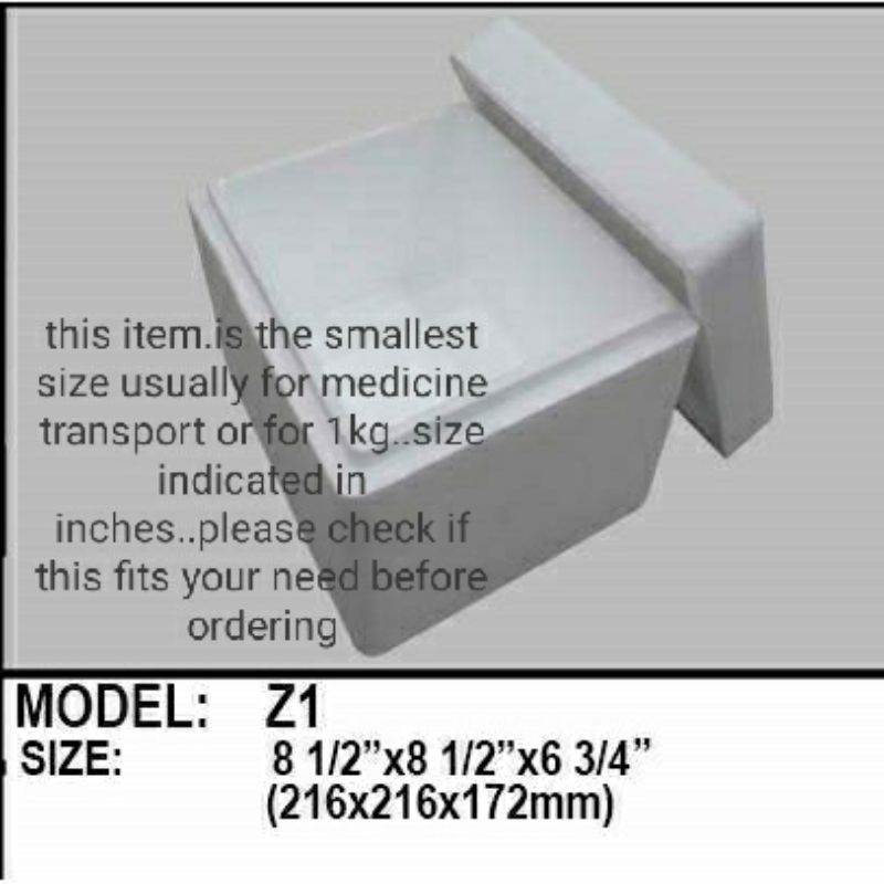 Styro Box Cooler Z1-for Medicine transport and others | Lazada PH