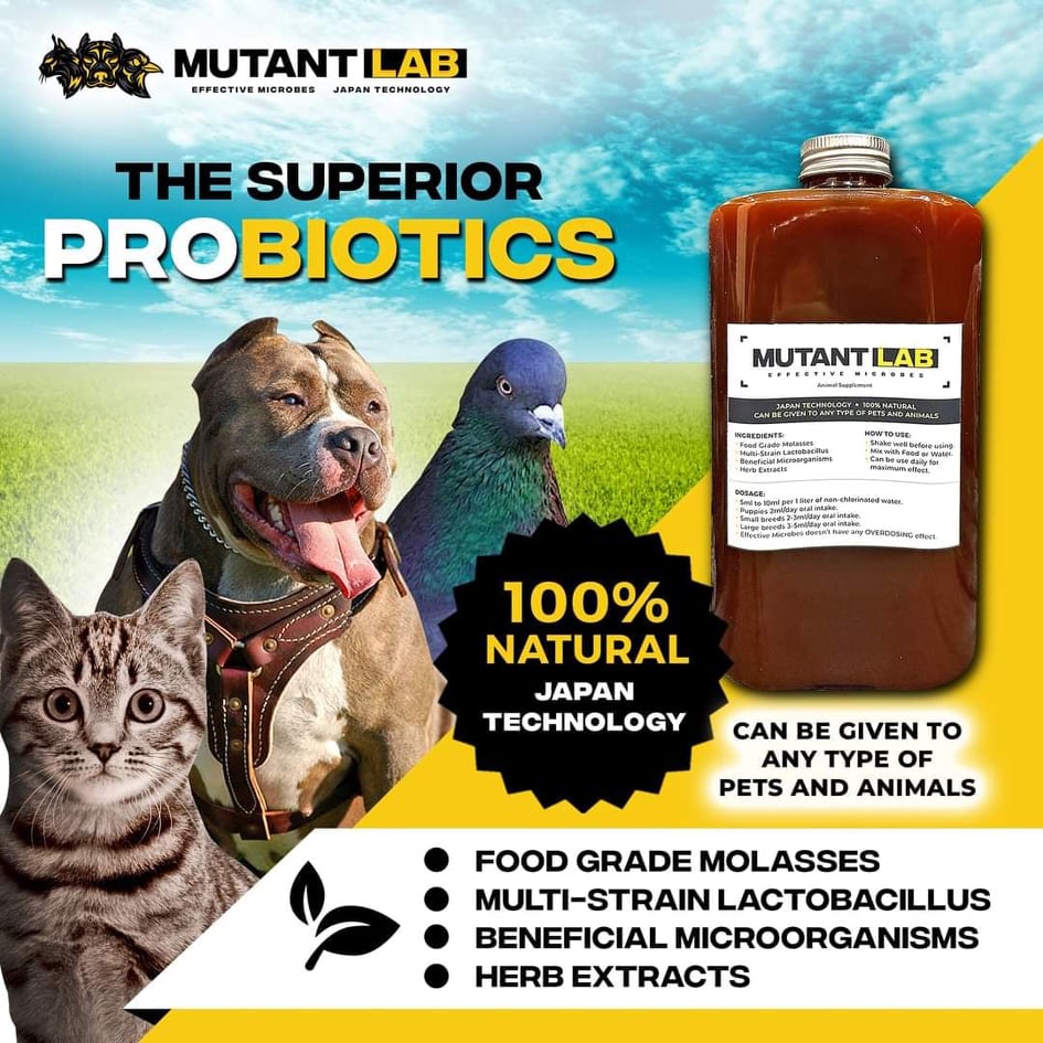 Mutant Lab (The Superior Probiotics) Animal SupplementmvP | Lazada PH