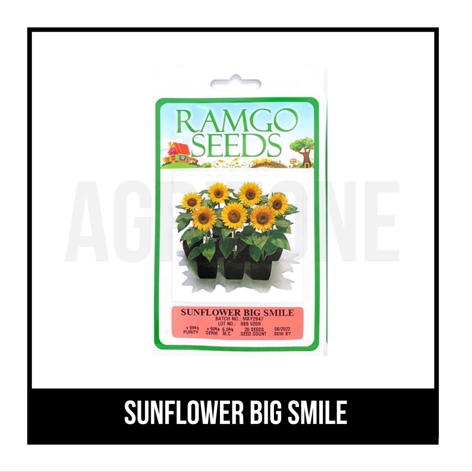 RAMGO Flower Seeds Sunflower Big Smile | Lazada PH