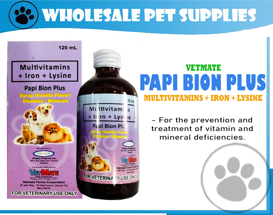 PAPI BION PLUS (Multivitamins + Iron + Lysine) 120mL | Lazada PH