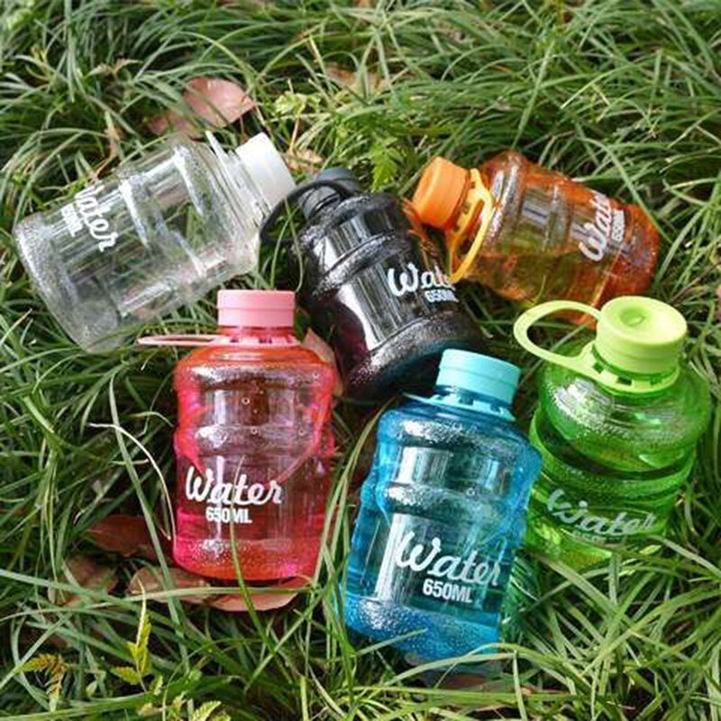 plastic bottle tumbler hot&cold coke bottle 650ml | Lazada PH