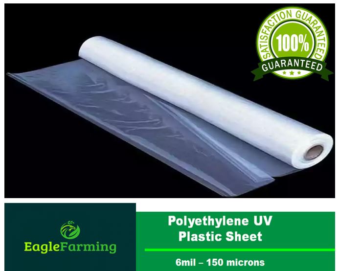 PROMO!! UV Plastic Sheet (6 mil - 150 Microns) - 10ft x 5 Meter | Lazada PH