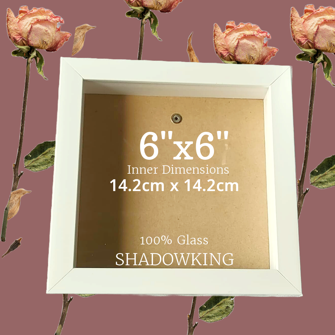 ShadowKing 6x6 Inches GLASS ShadowBox Shadow Box Frame For Flowers ...