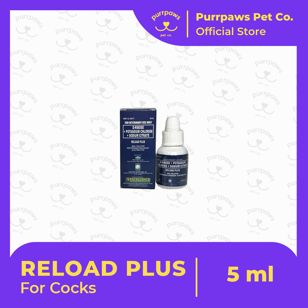 RELOAD PLUS Performance Enhancer For Cocks (5 ml) | Lazada PH
