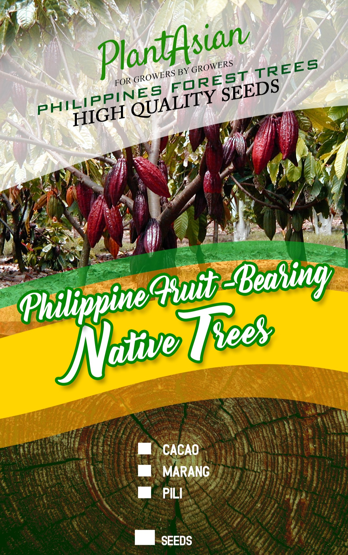 PILI TREE SEEDS 3 SEEDS | Lazada PH