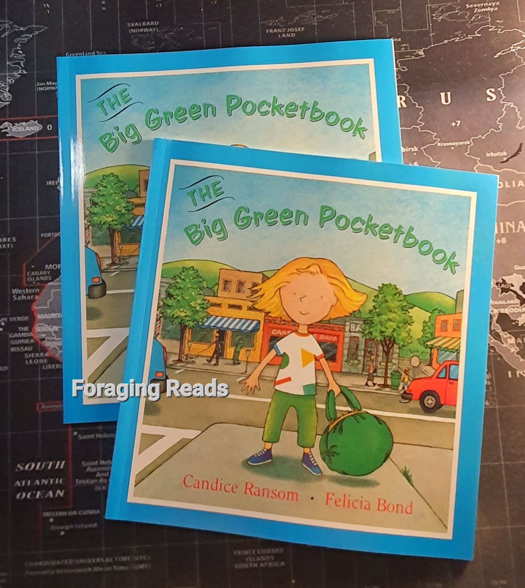 The Big Green Pocketbook by Candice Ransom | Lazada PH